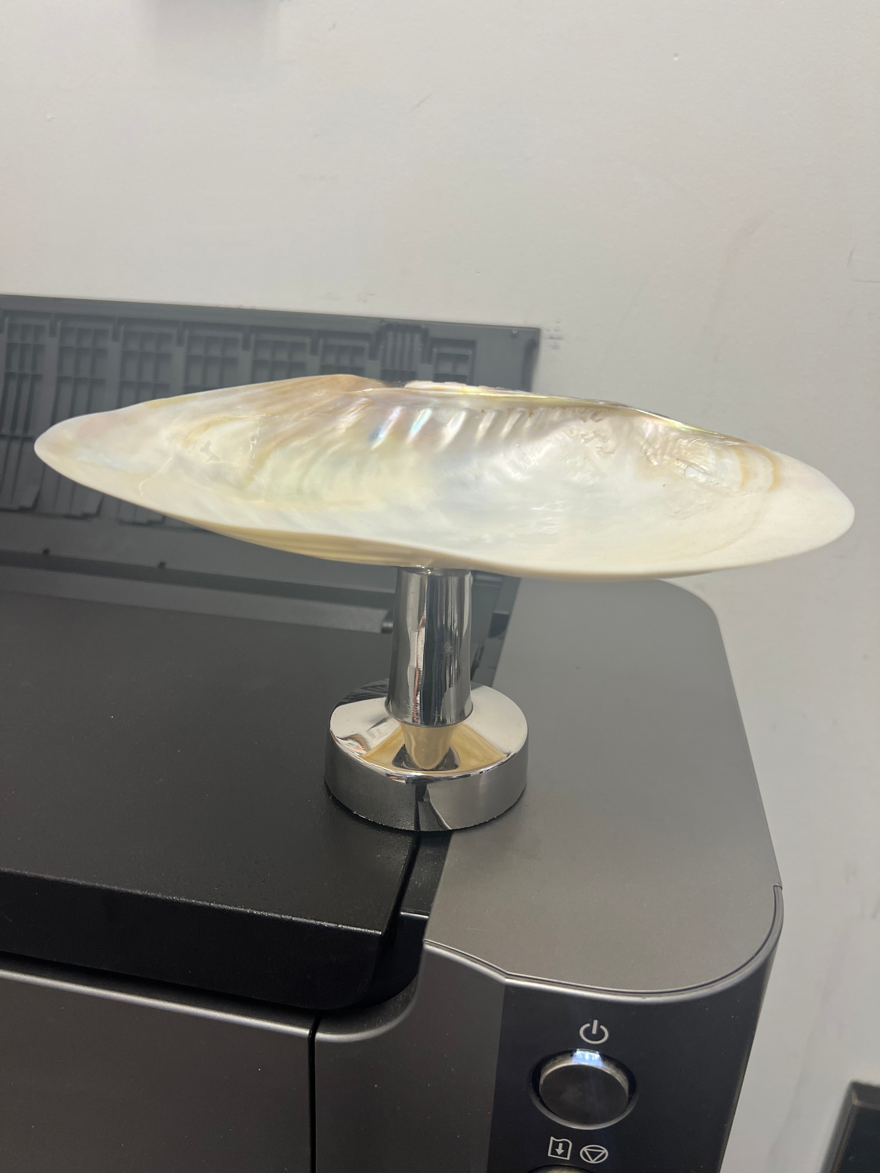 Oyster Shell on Stainless Steel Stand – Balboa Island Museum